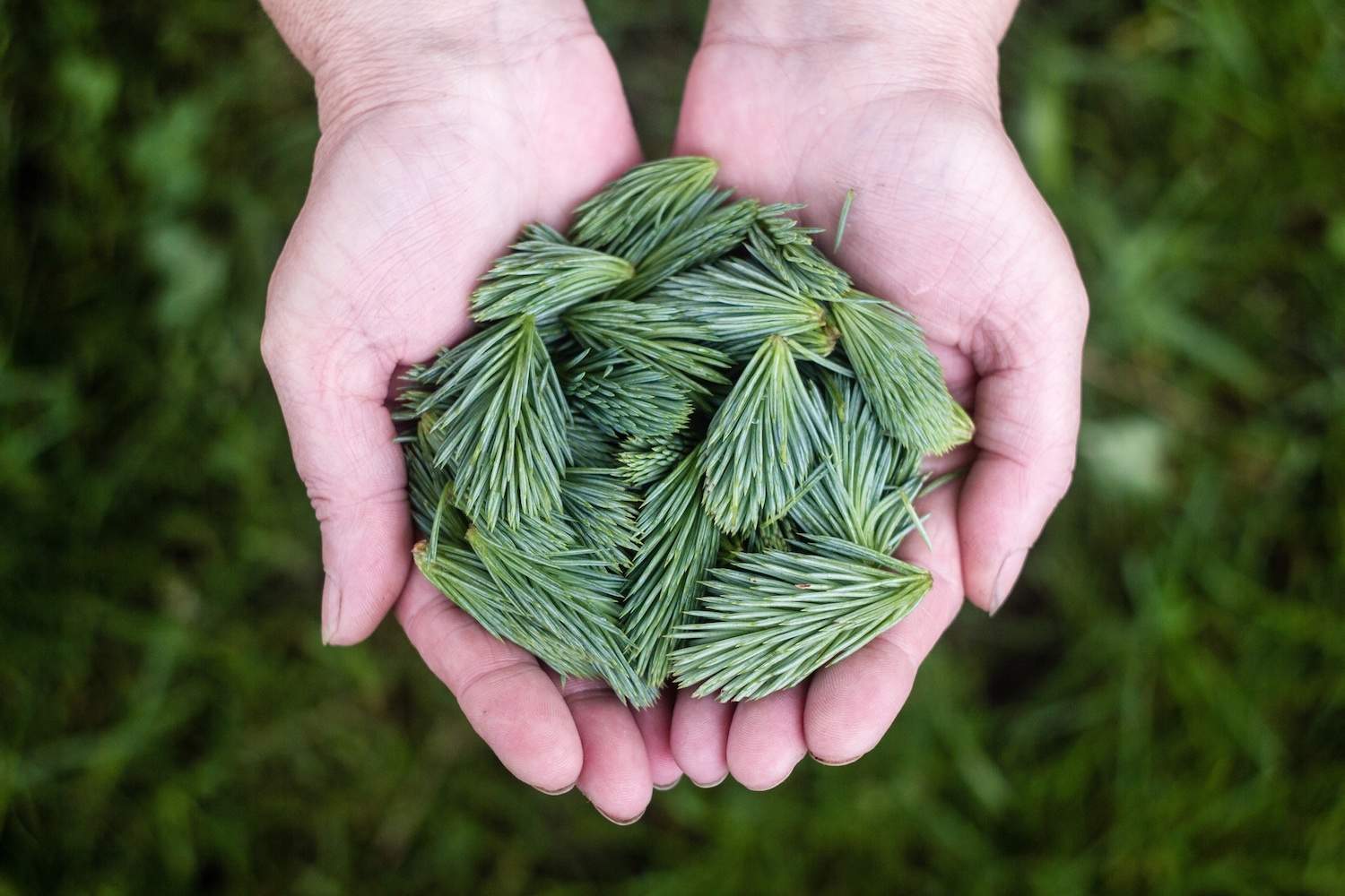 The Rewarding Truth Of Corporate Social Responsibility The Rewarding Truth Of Corporate Social Responsibility